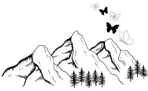 body’n brain - ULSA